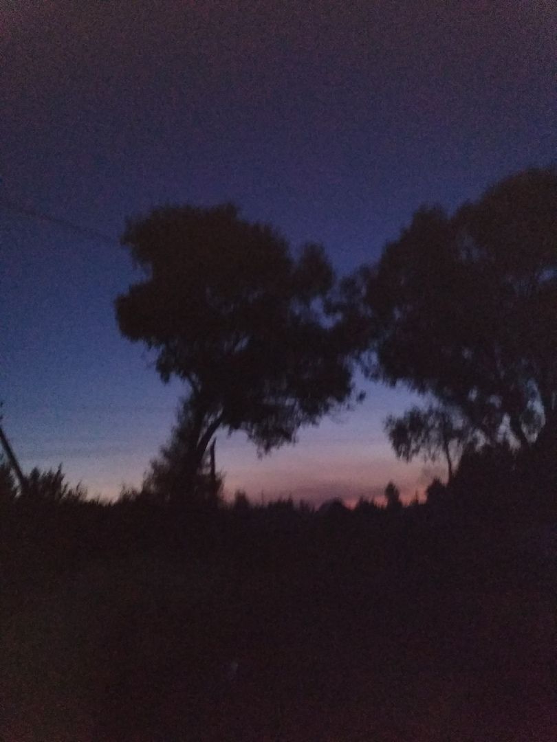 Nightwalk | Scrolller