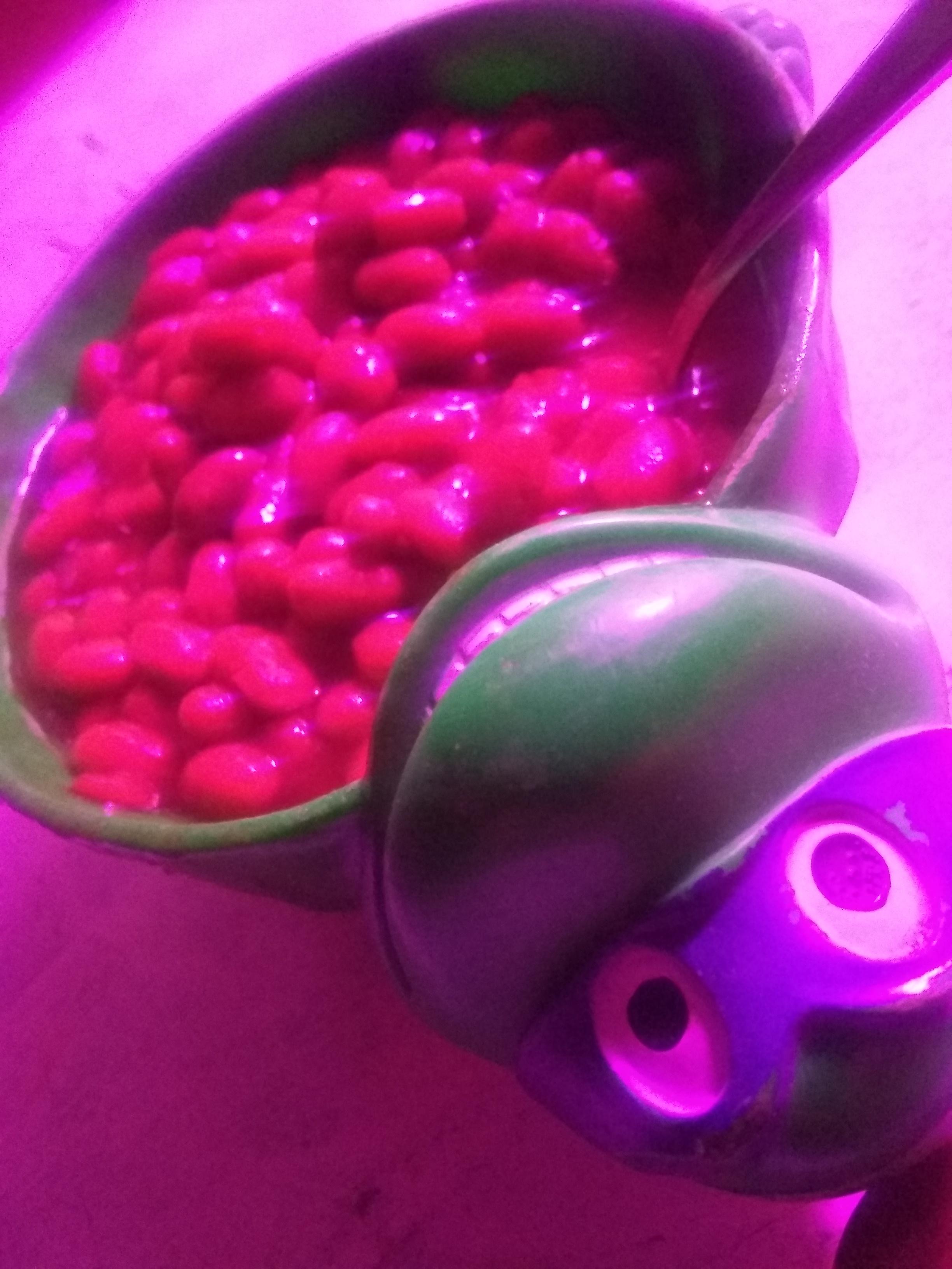 Ninja baked beans, cookie crisp Donatello | Scrolller