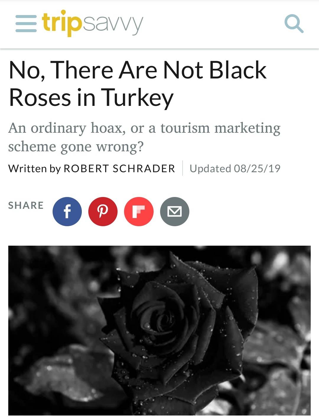 No black roses. | Scrolller