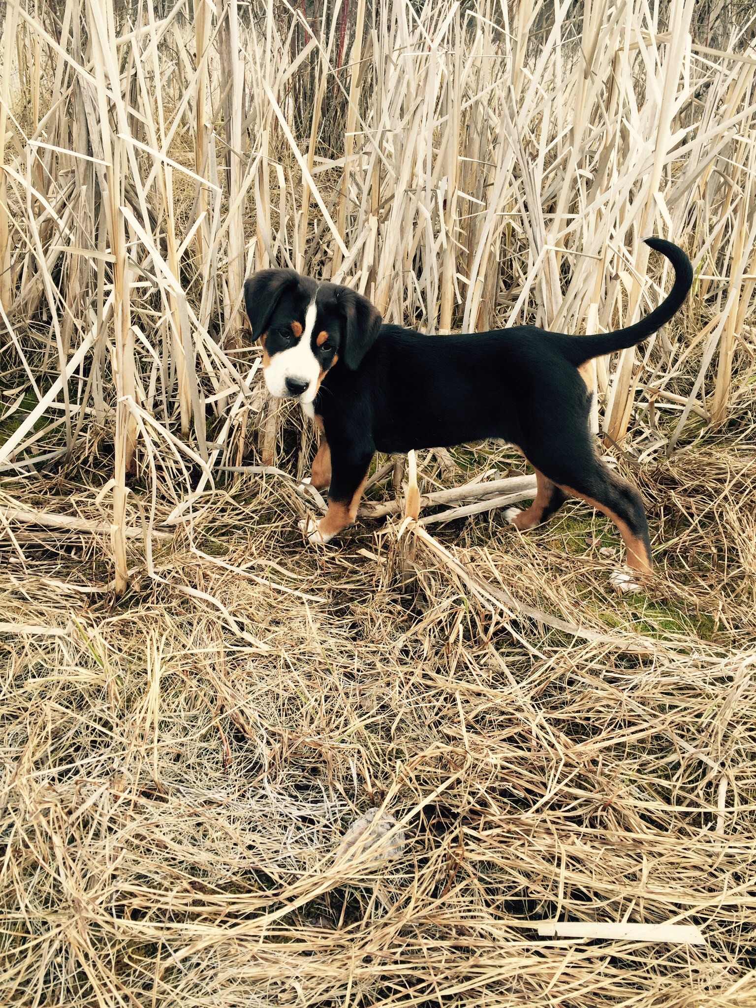 No filter needed when you're this dang cute | Scrolller