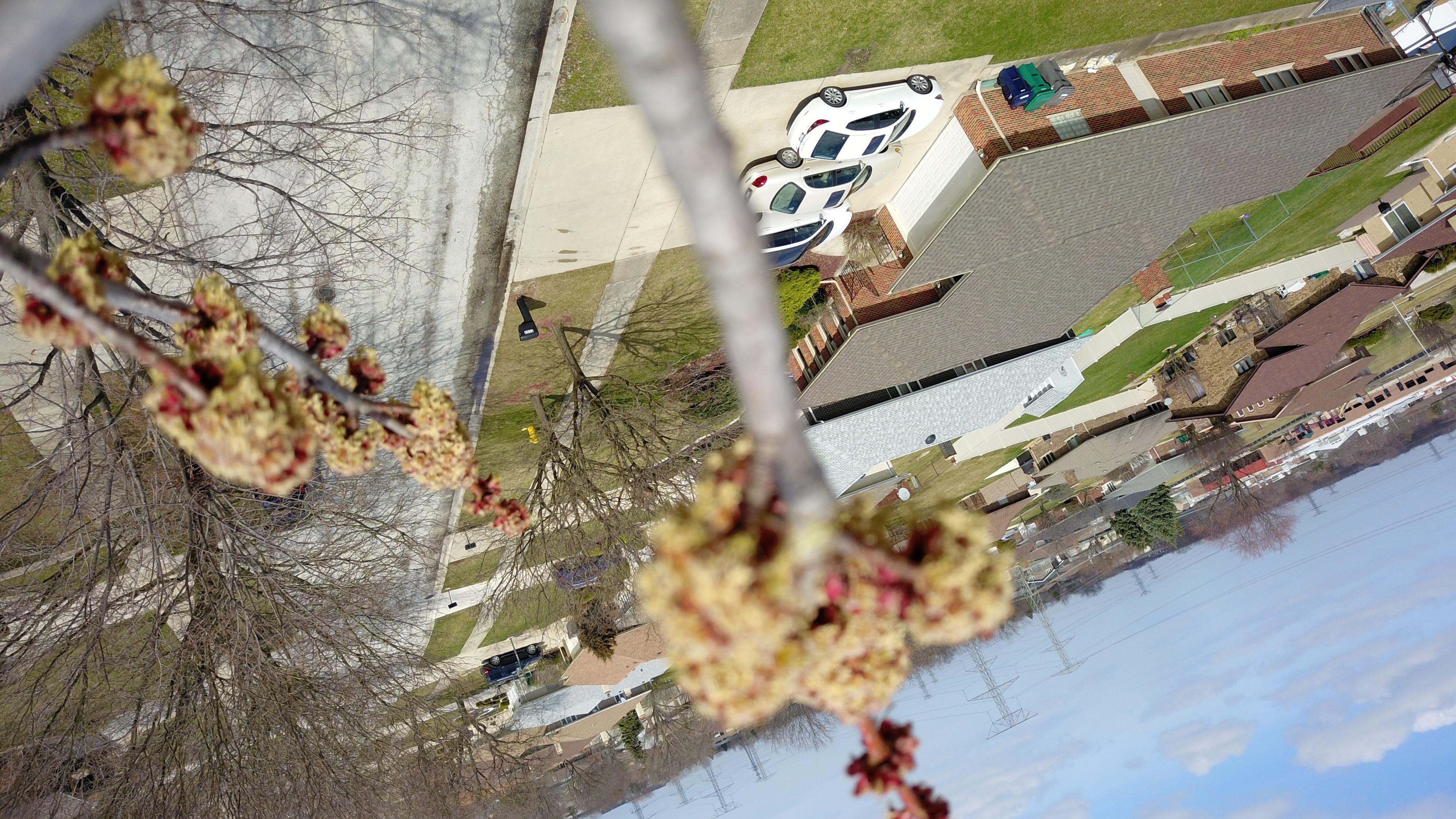 No further explanation needed. | Scrolller