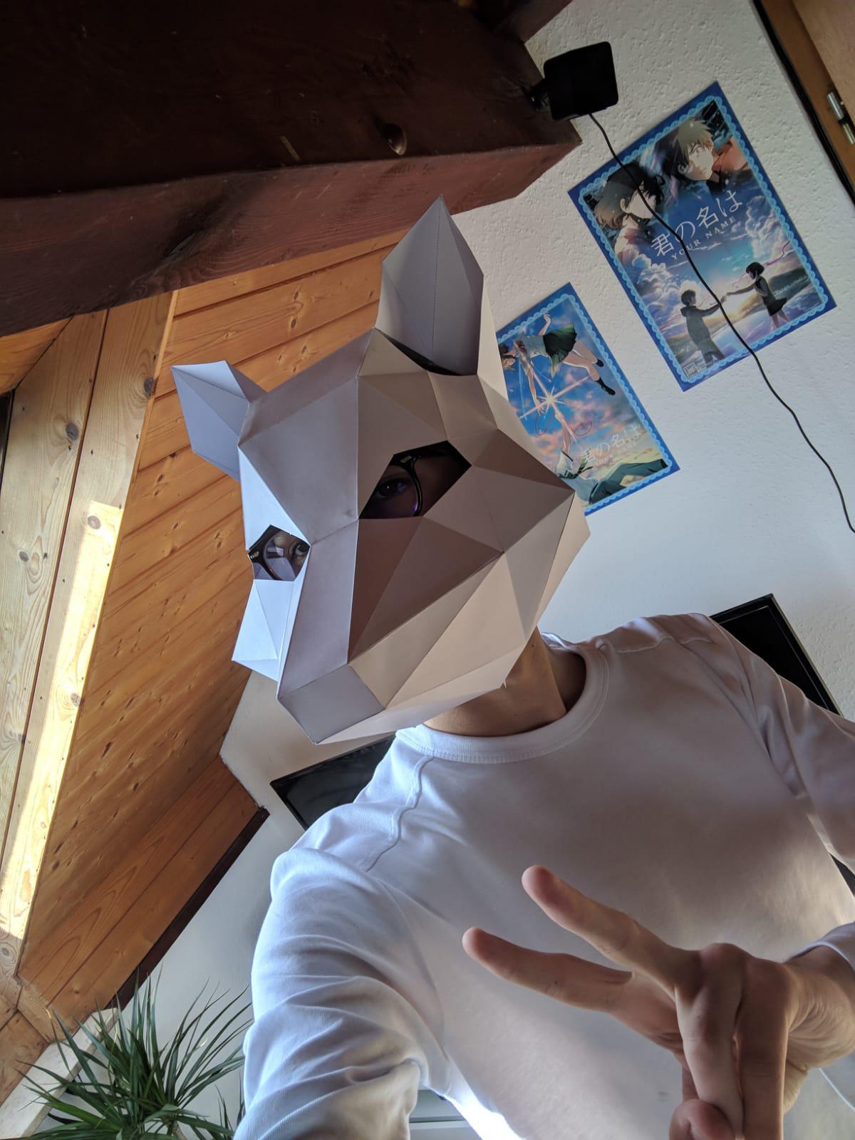 no money for a fursuit… so I made one from paper! | Scrolller