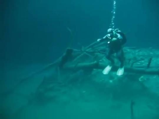 Diving into deeper, darker waters | Scrolller