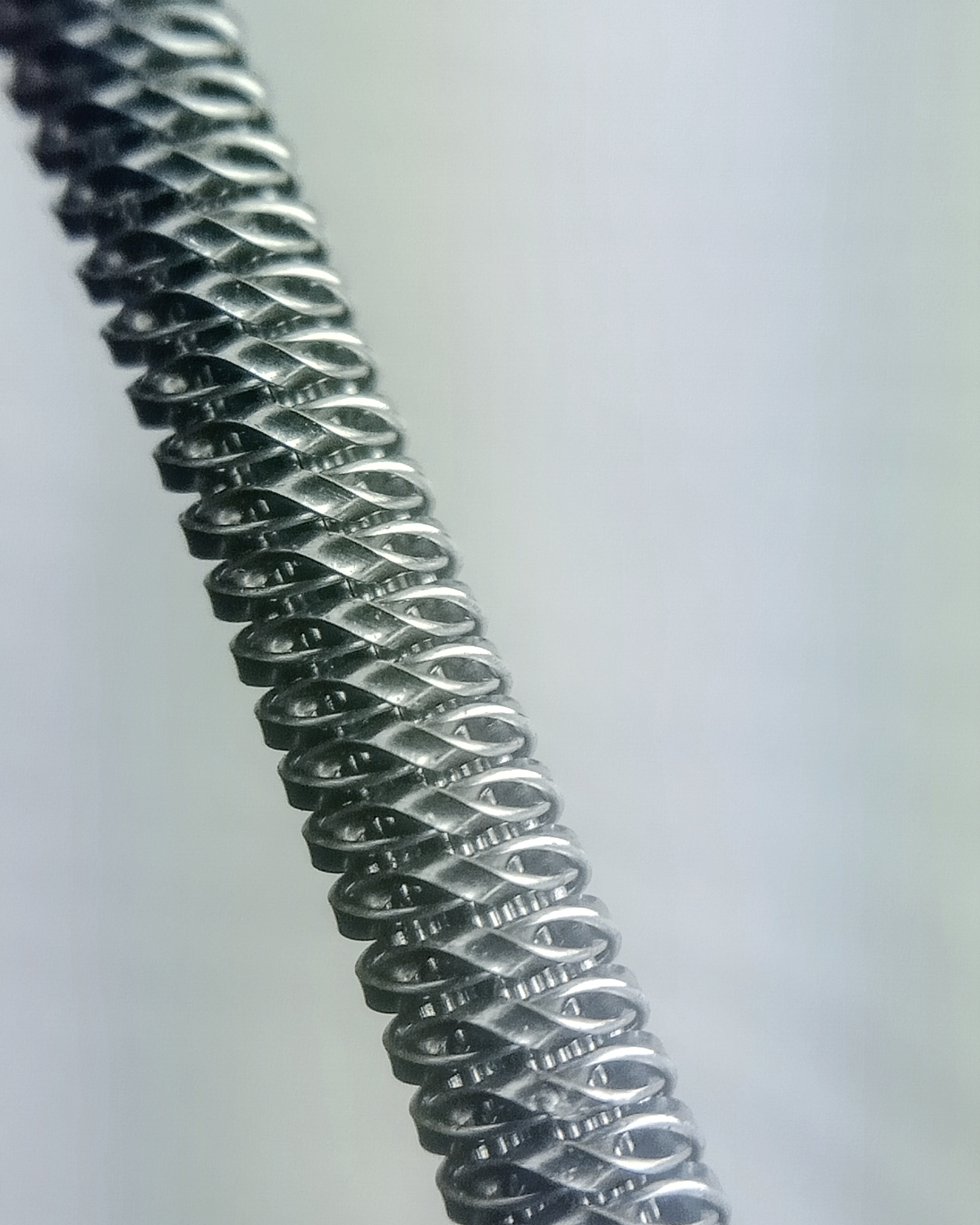 No points for guessing why it's called an armadillo | Scrolller