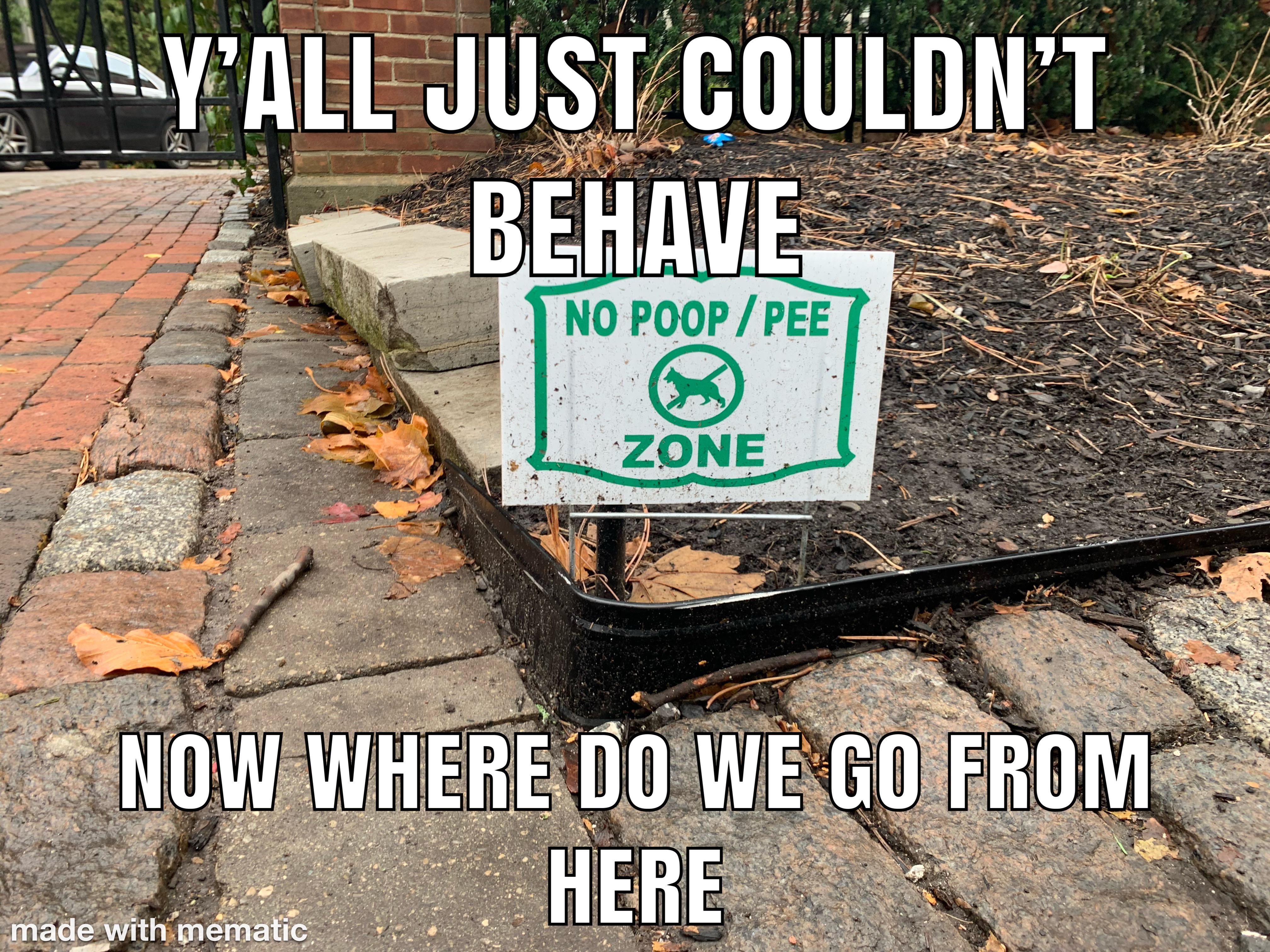 No poo or pee😳😳😳 | Scrolller