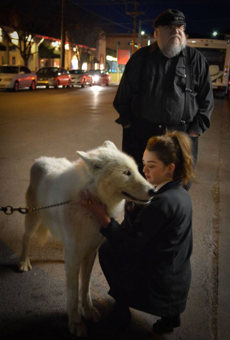 [NO SPOILERS] A Girl Pets a Dire Wolf | Scrolller
