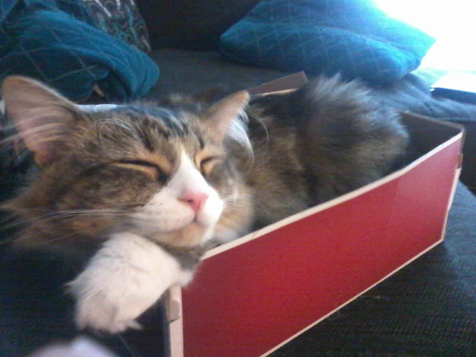 No title needed | Scrolller