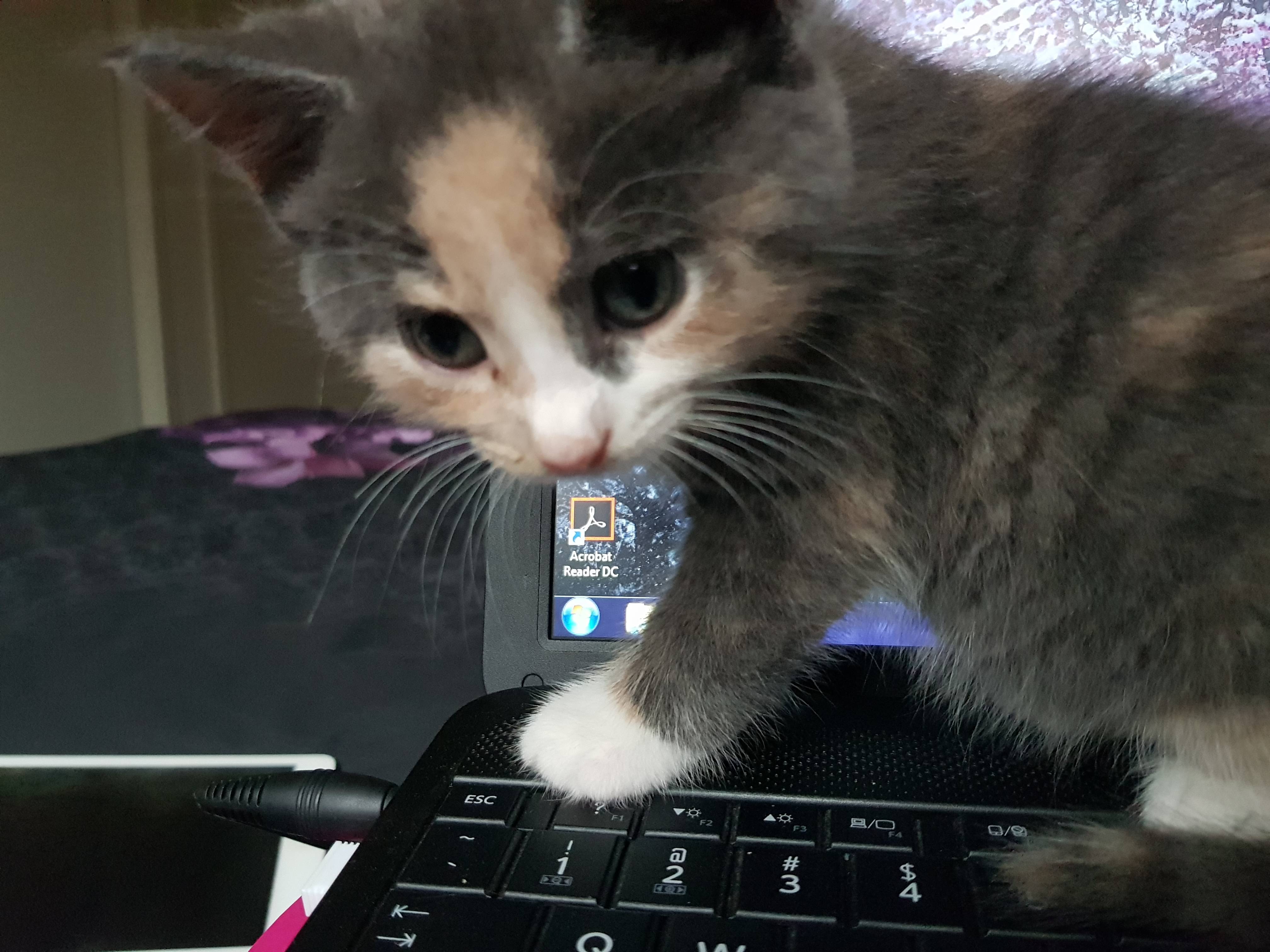 No Work play time! | Scrolller