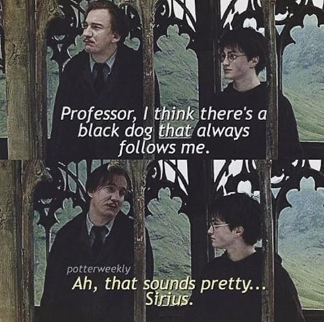 Nope not serious | Scrolller