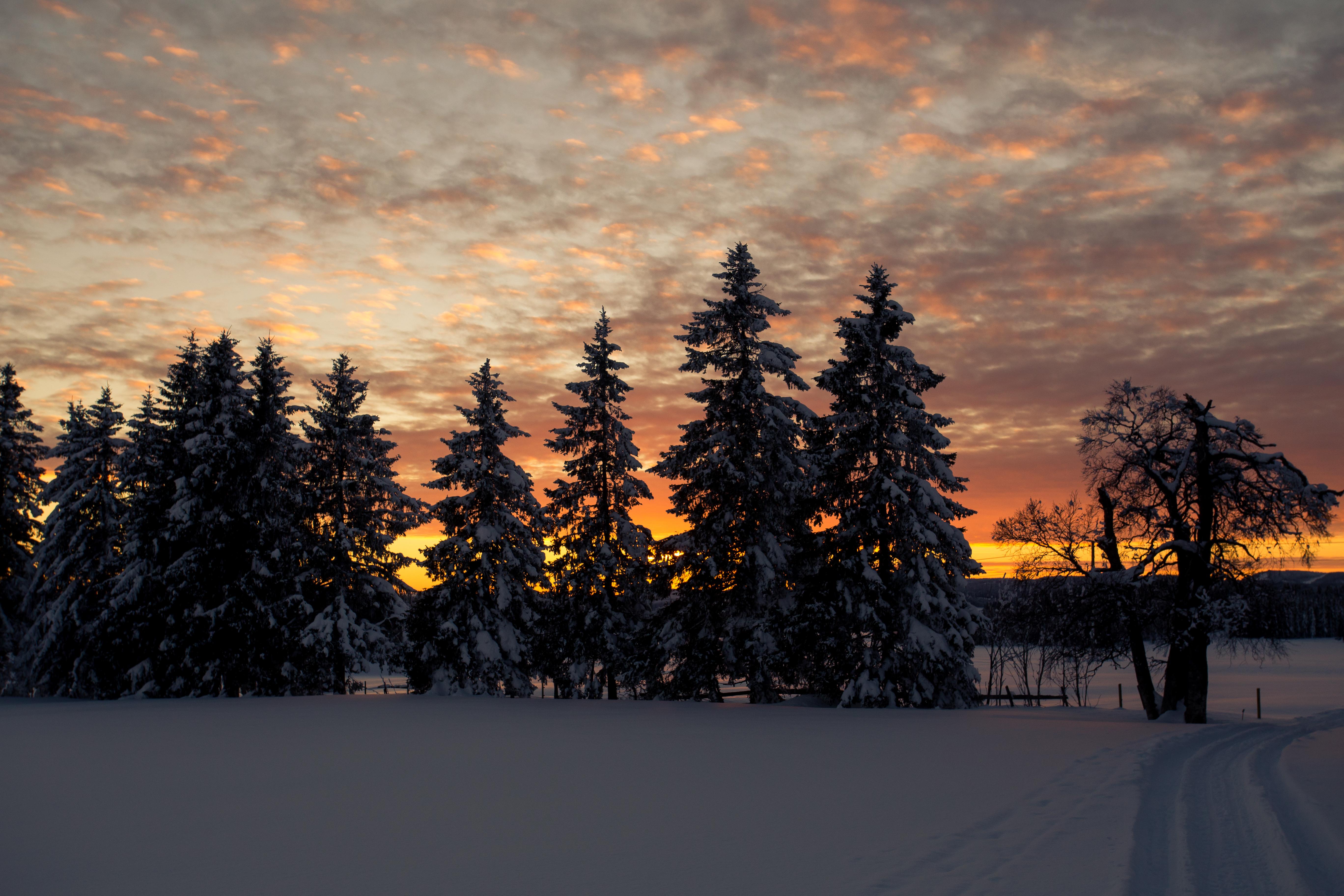 Norwegian winter landscape | Scrolller