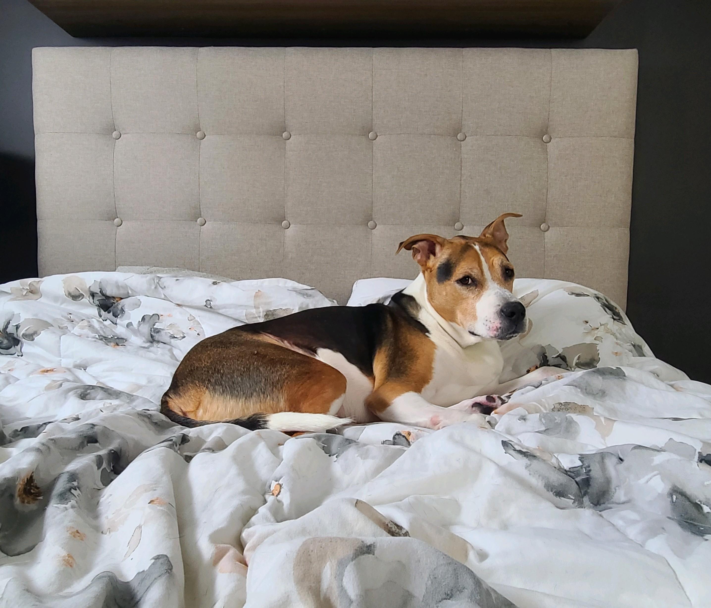 Not a derp, but a serious side eye from the big man | Scrolller