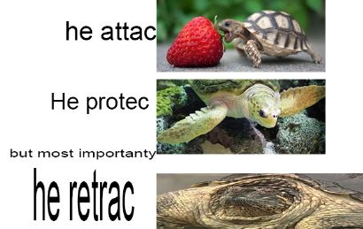 not a monke | Scrolller