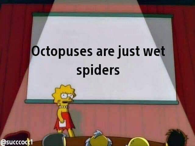 Not even close | Scrolller