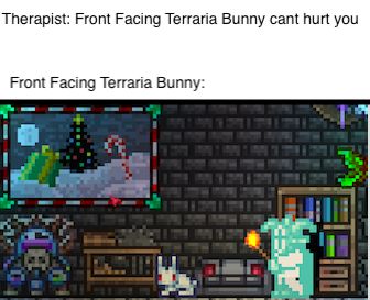 not the Front Facing Terraria Bunny | Scrolller