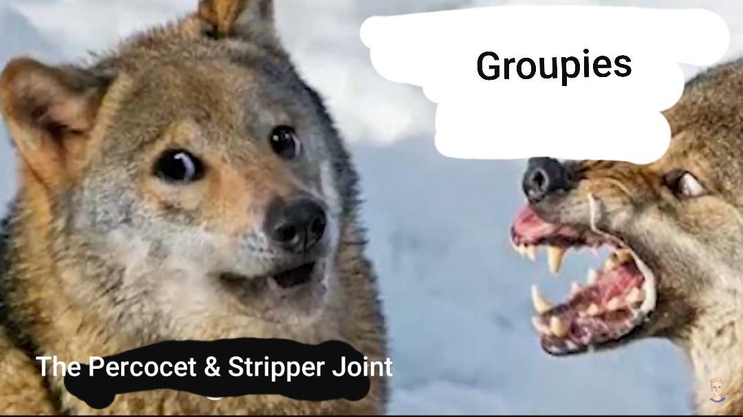 Not the same | Scrolller