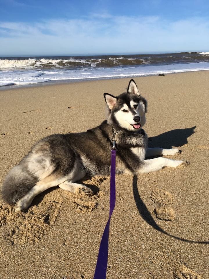 Not the snow, but it's still cool :) | Scrolller