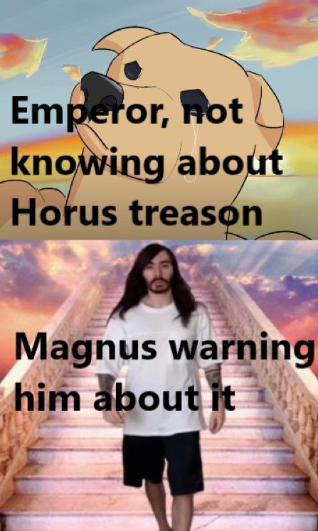 Nothing wrong | Scrolller