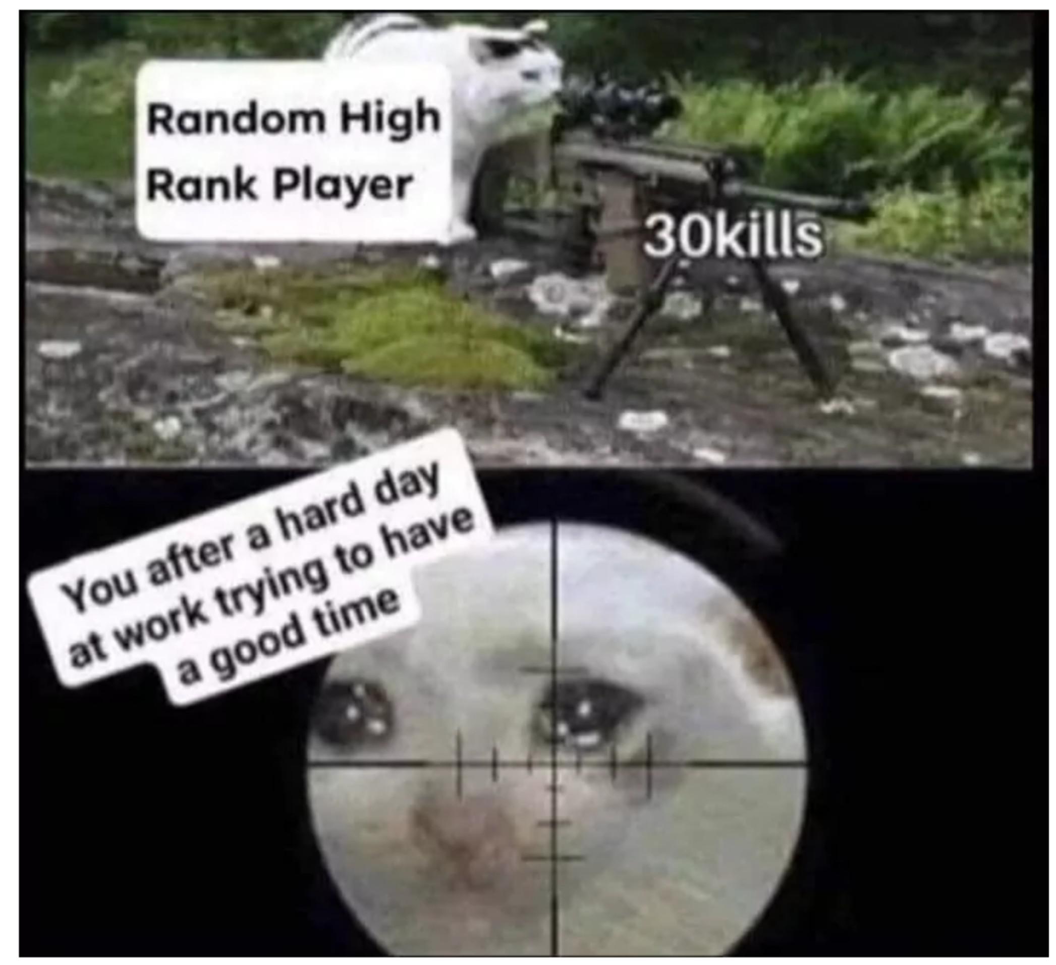 Now I understand | Scrolller