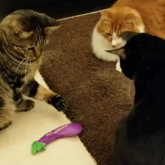 Now it's your turn! | Scrolller