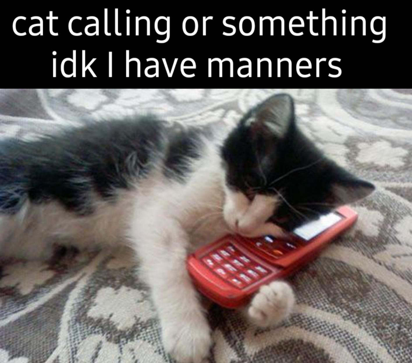 now sure why it's offensive | Scrolller