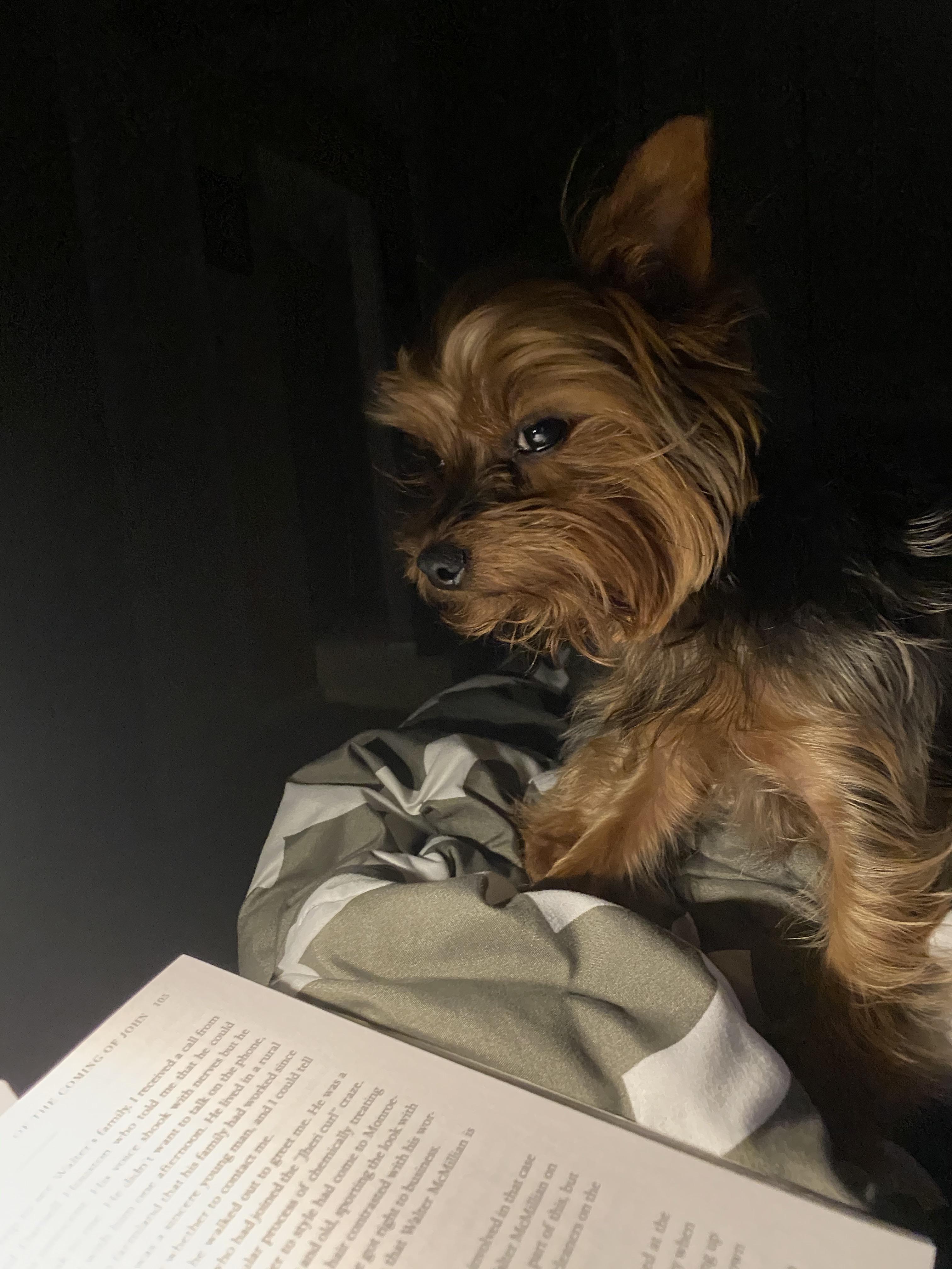 Now that’s a good book. | Scrolller