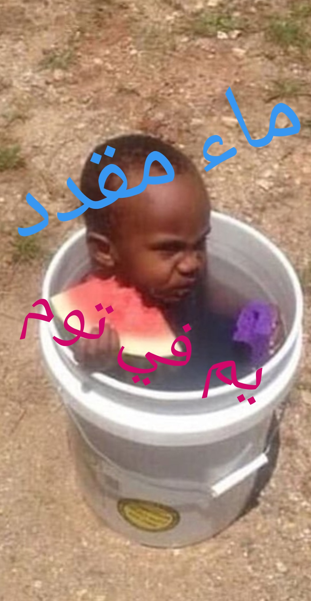 Now this is epic | Scrolller