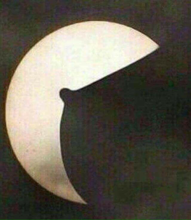 NSFW - The eclipse from Key West | Scrolller