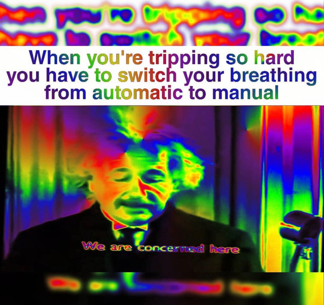 Objective: “Survive.” | Scrolller