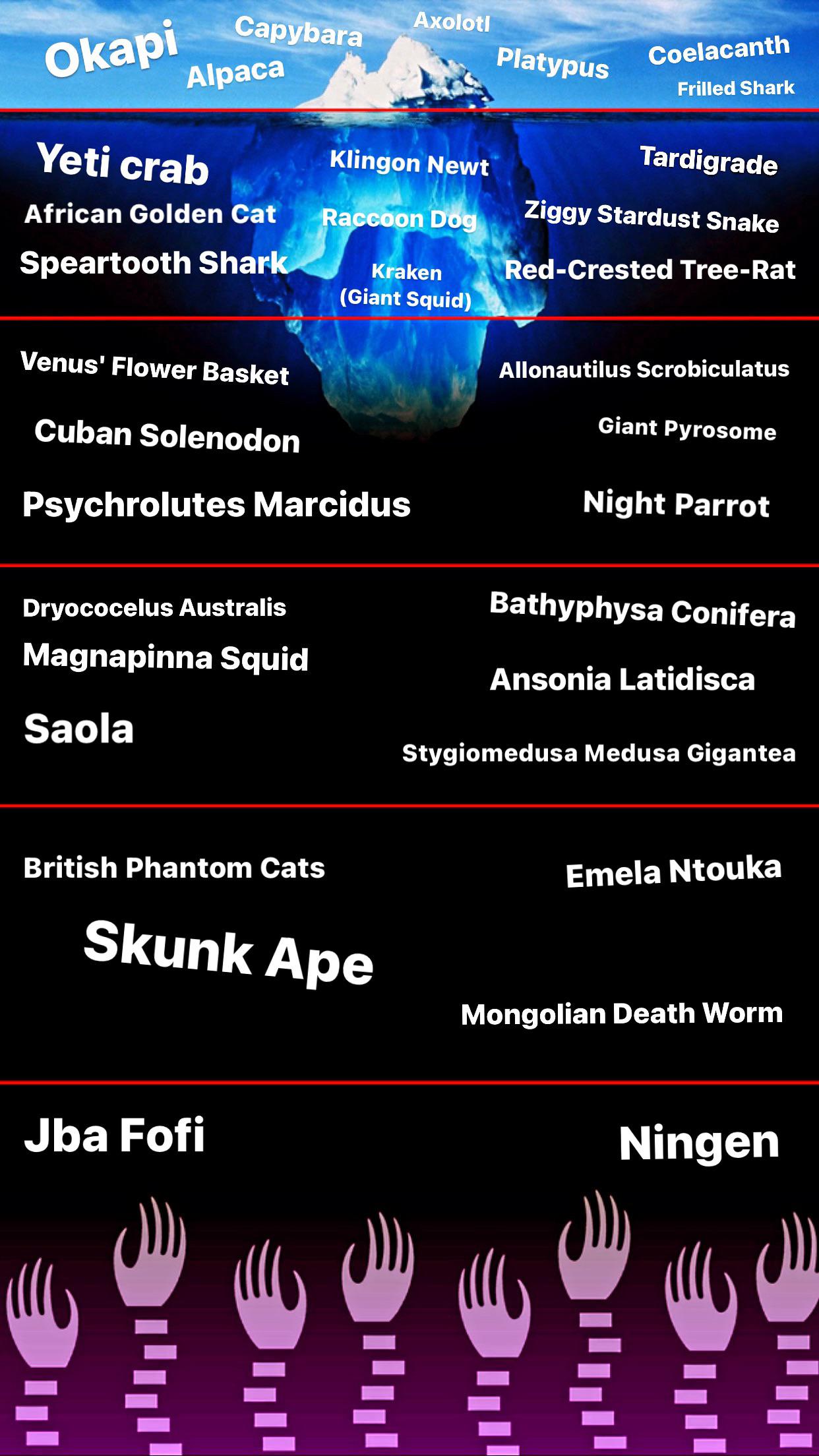Obscure/weird animals iceberg chart | Scrolller