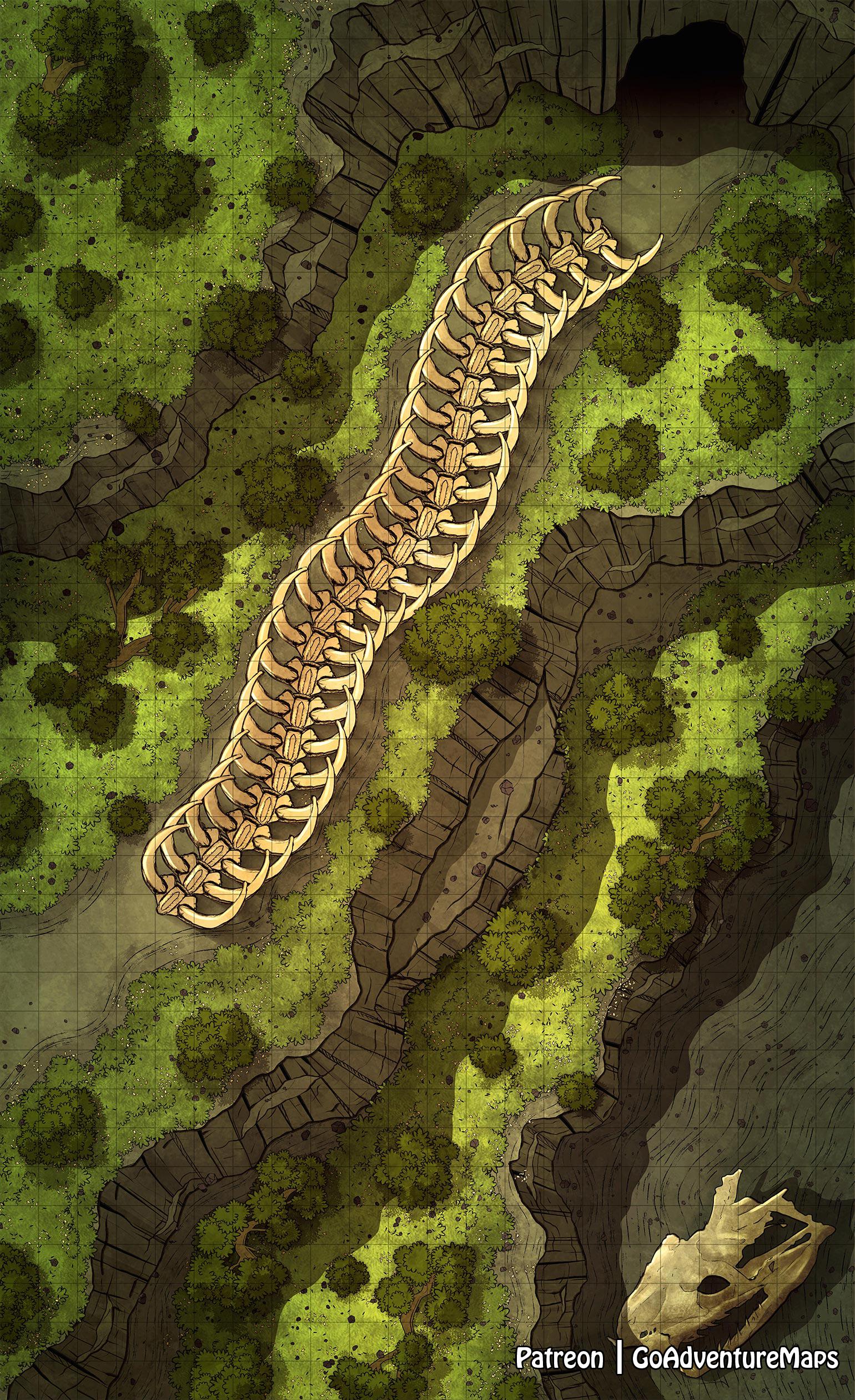 [Battlemap][22x36][1540x2520px][Forest]Entrance to the Cave of Snakes | Scrolller