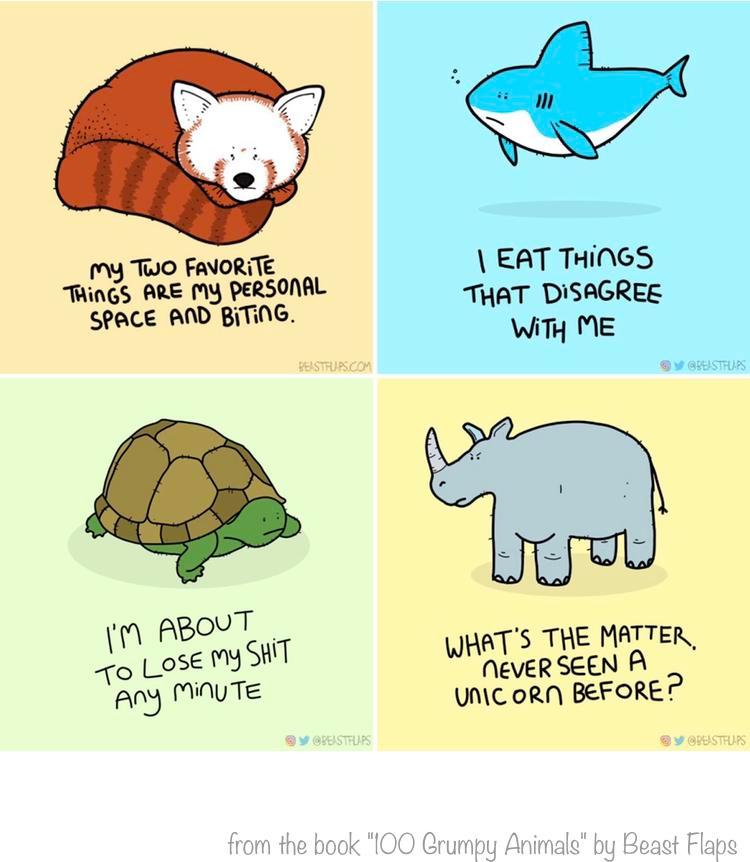 [oc] four new grumpy animals | Scrolller