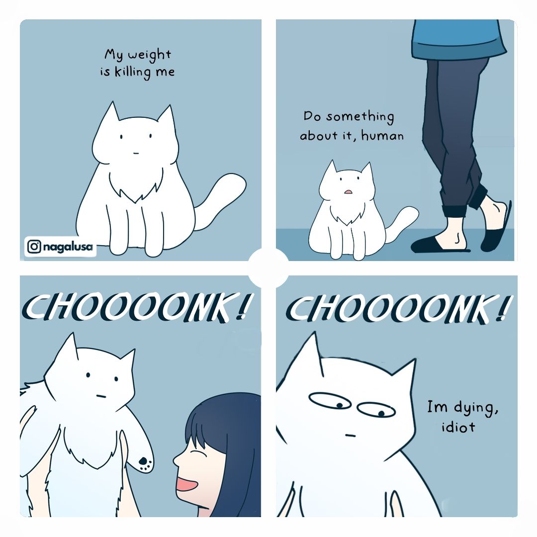 Who's a chonky boi!? | Scrolller