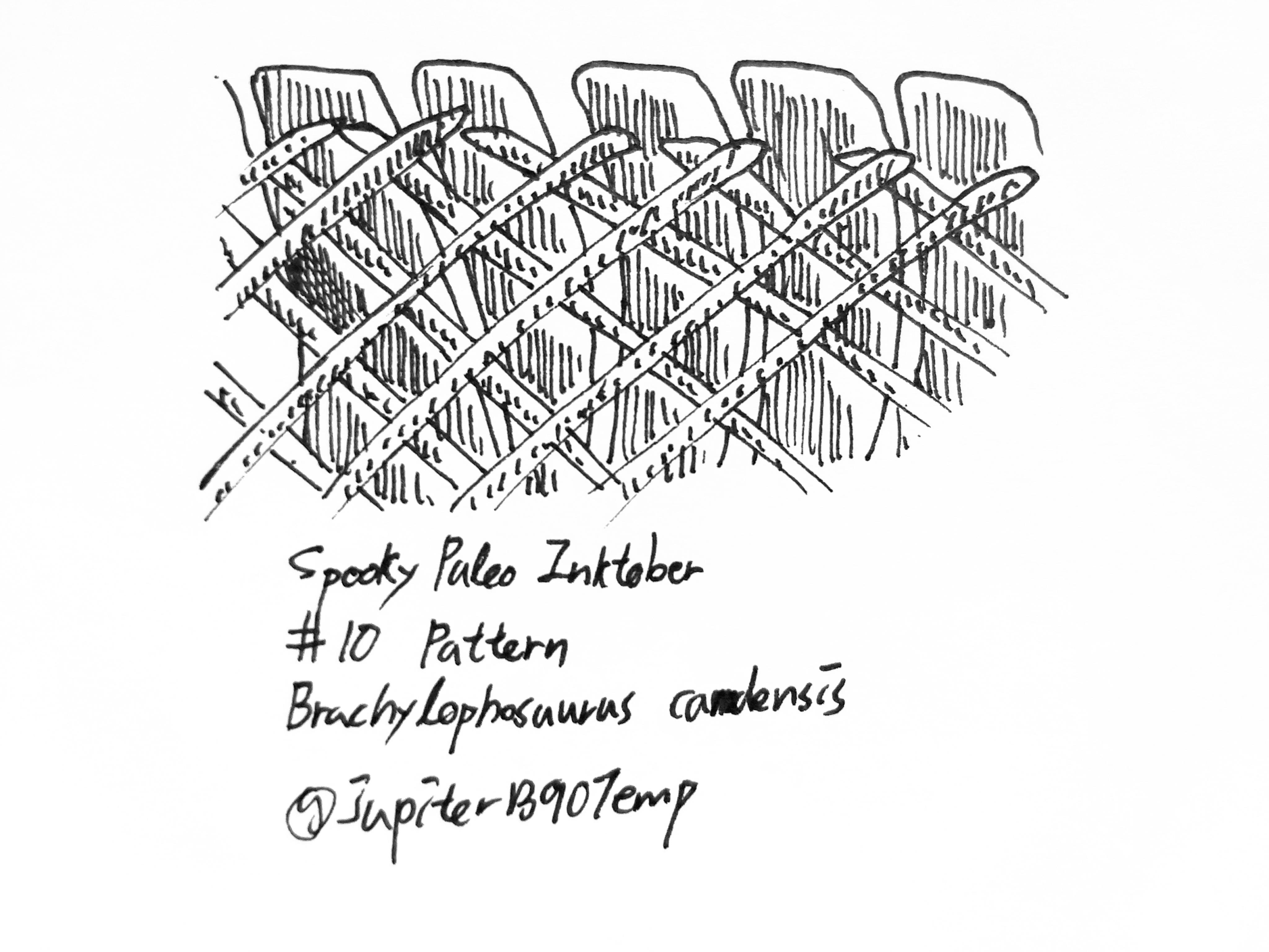 [OC] Inktober day 10 Pattern: "Ossified tendons are one of the coolest patterns on bones ...