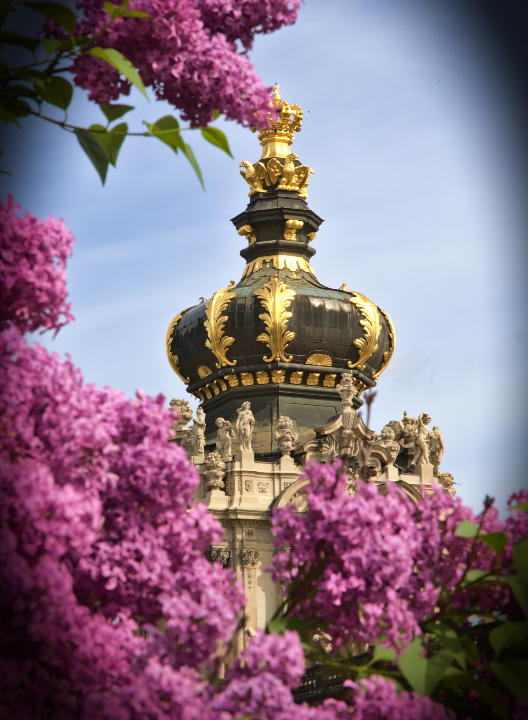 OC - lilacs for the Crown Gate, Dresden | Scrolller