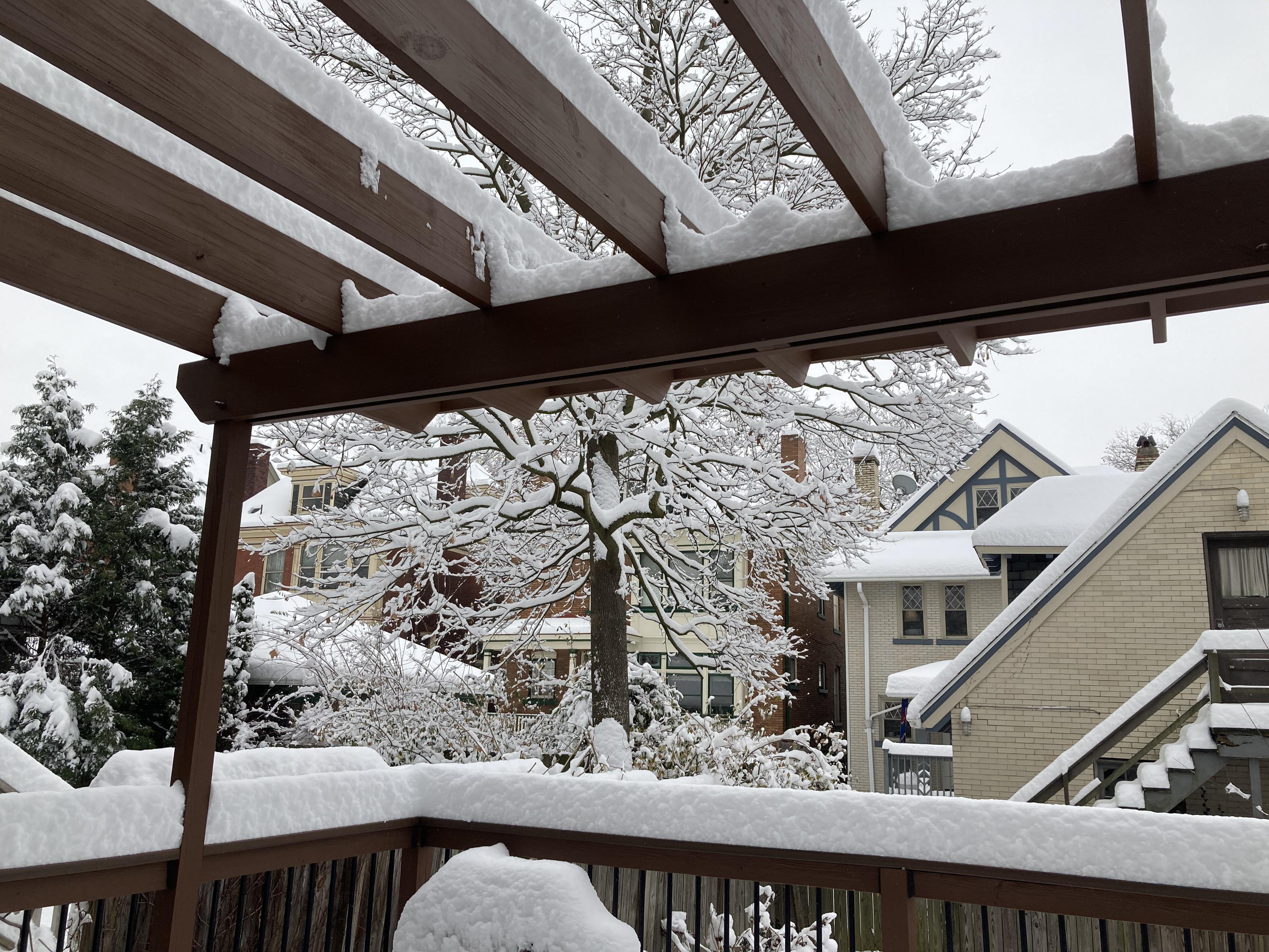 [OC] view from my back porch in pa | Scrolller