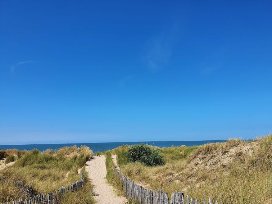 Ocean view in Le Coq - De Haan | Scrolller