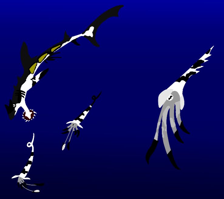 Oceanic Animals Shown 2 | Scrolller