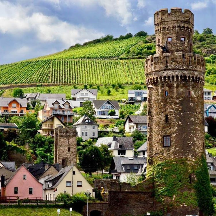 Ochsenturm (Oxen Tower), Oberwesel, on the Rhine River, Germany. ( 750 ×750 ) | Scrolller