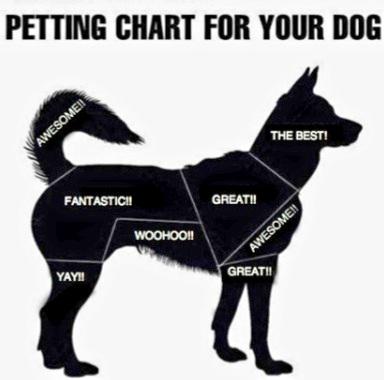 Official Dog Petting Chart | Scrolller