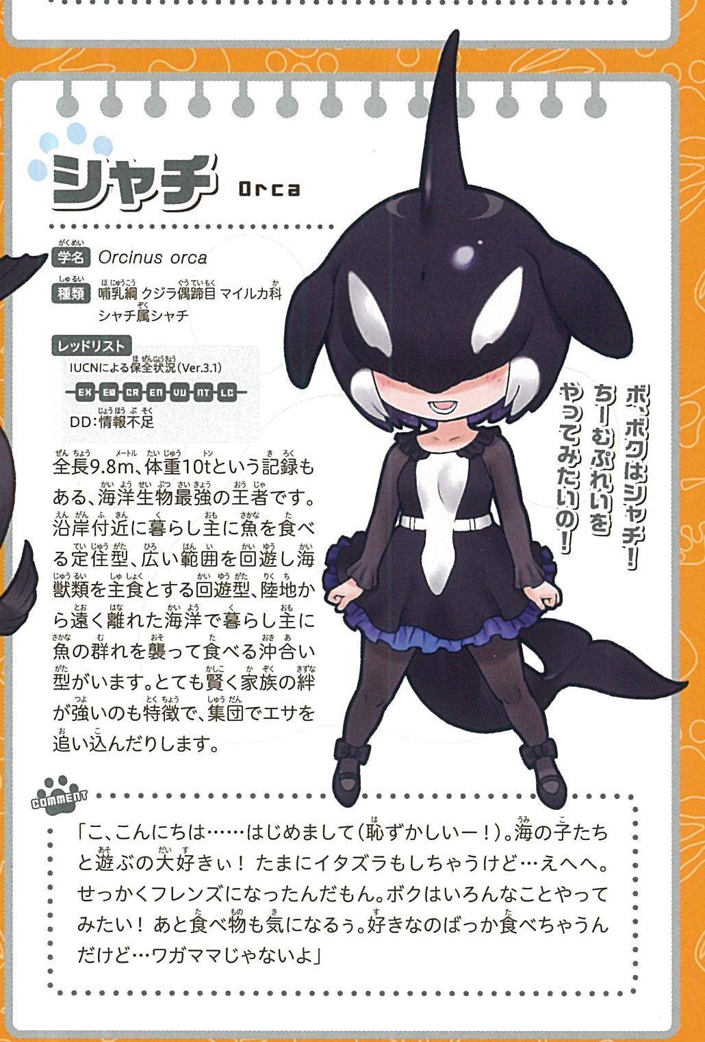 Official Reveal of Orca's Design | Scrolller