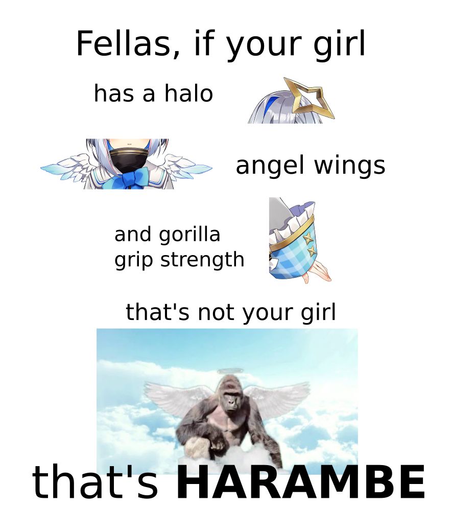 OG Gorilla | Scrolller