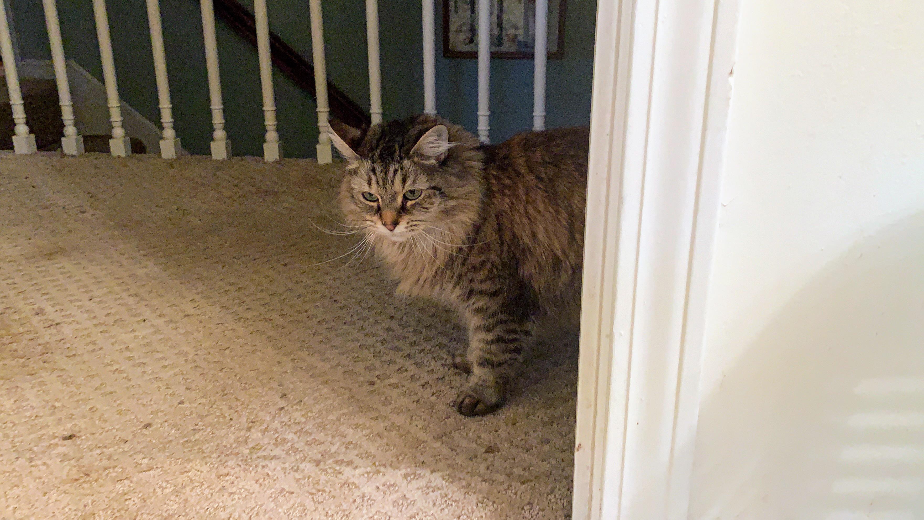 Oh, hello there! | Scrolller