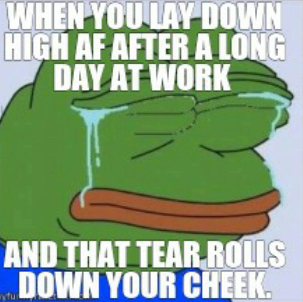 Oh mah gawd! | Scrolller