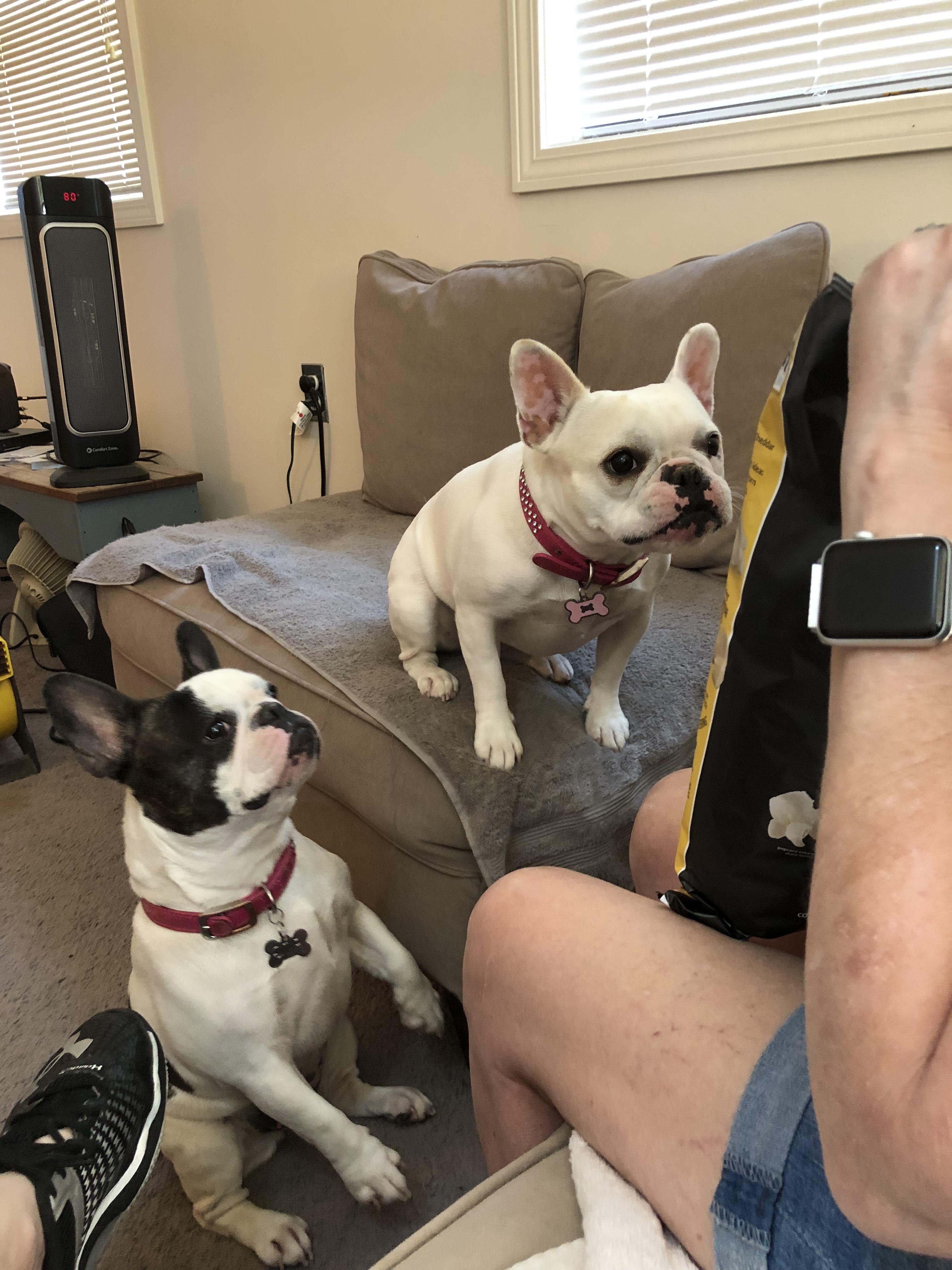 “Oh, mom, those look so good” | Scrolller