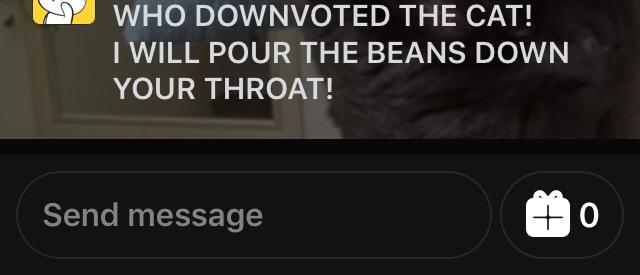 Oh no! Not the beans! | Scrolller