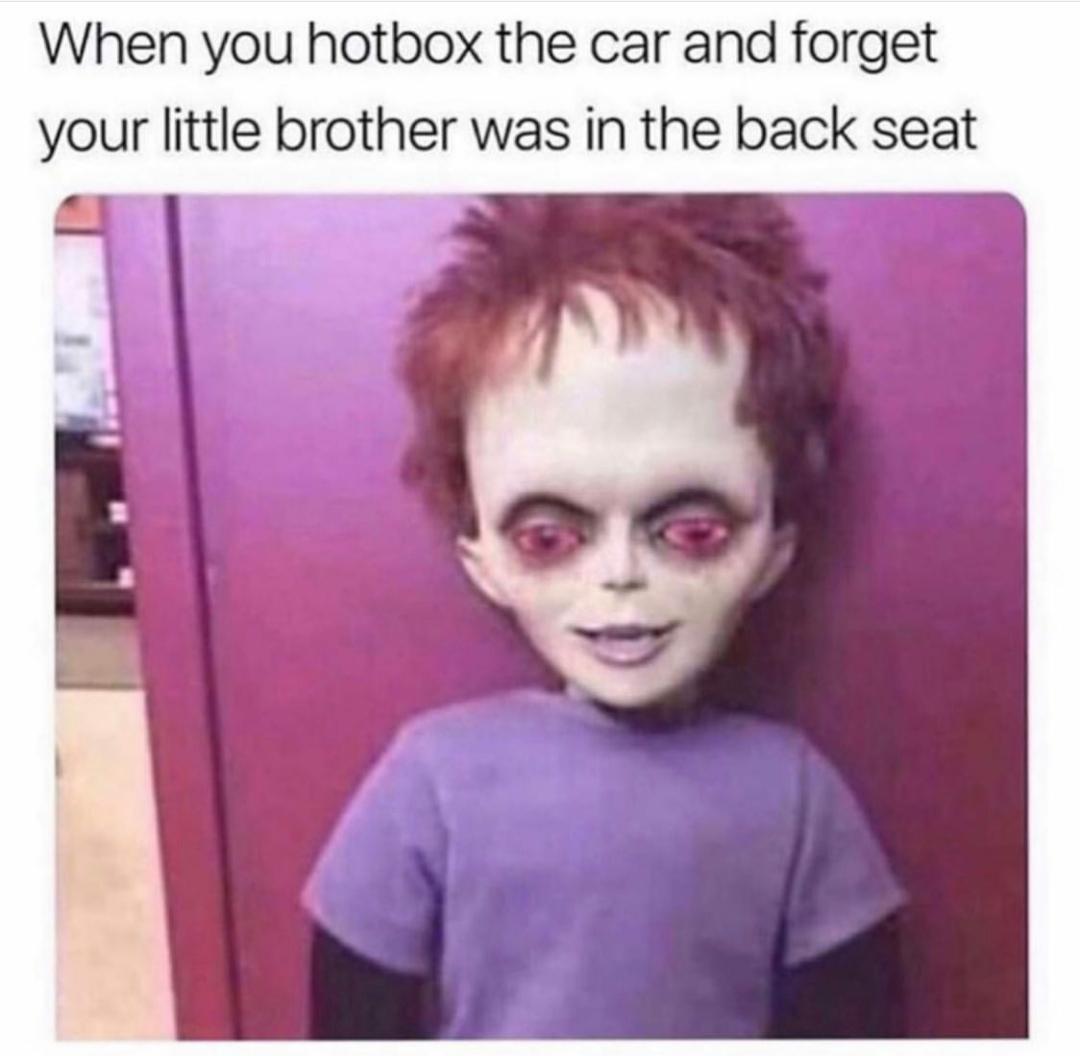 Oh snap, Timmy! | Scrolller