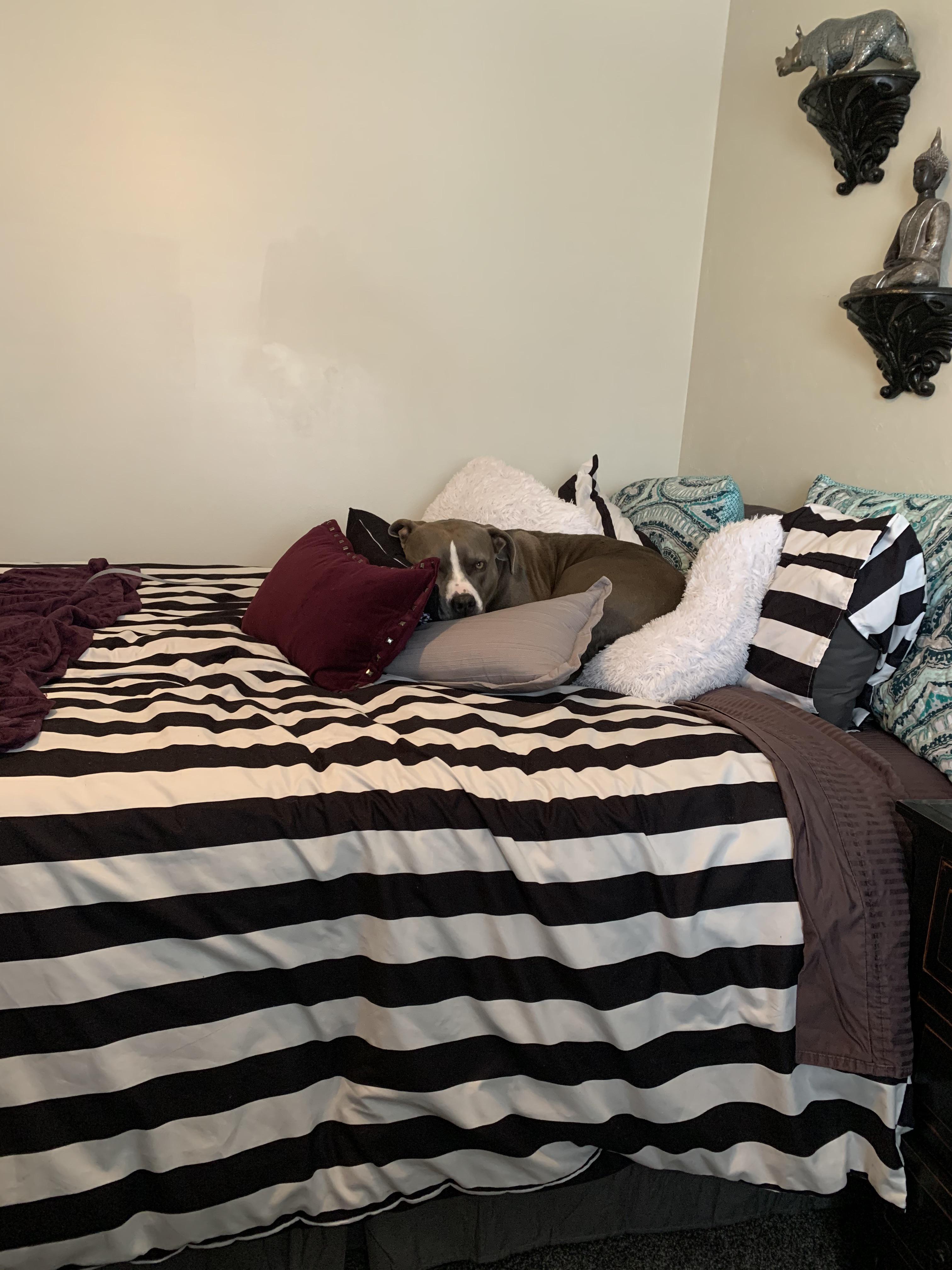 “Oh sorry if you just washed these mom” | Scrolller