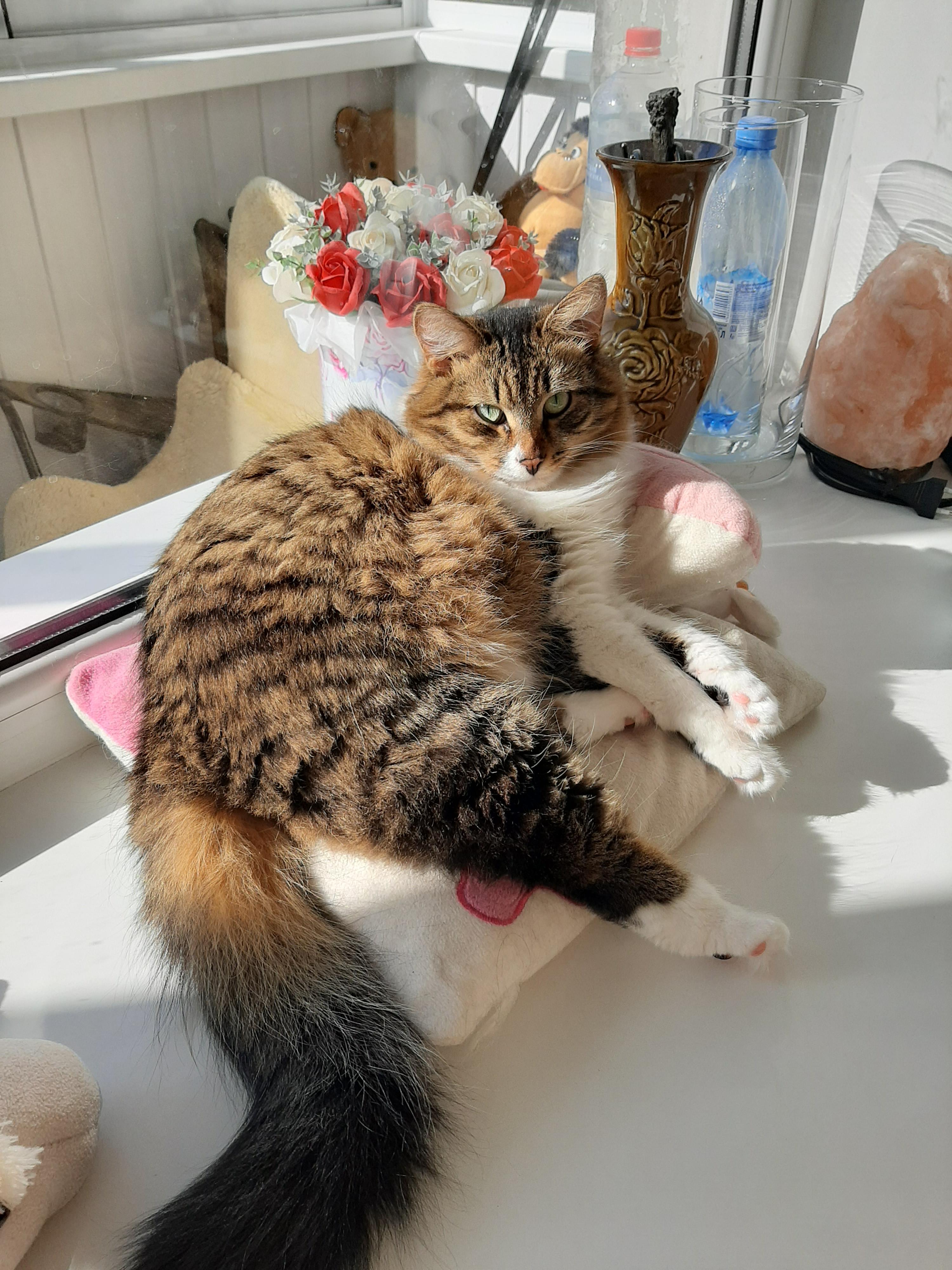 "Oh, that's you again..." | Scrolller