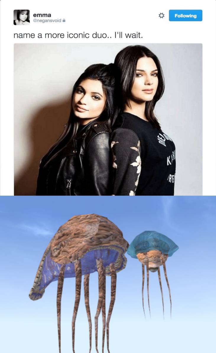 "Oh this is too easy!" | Scrolller