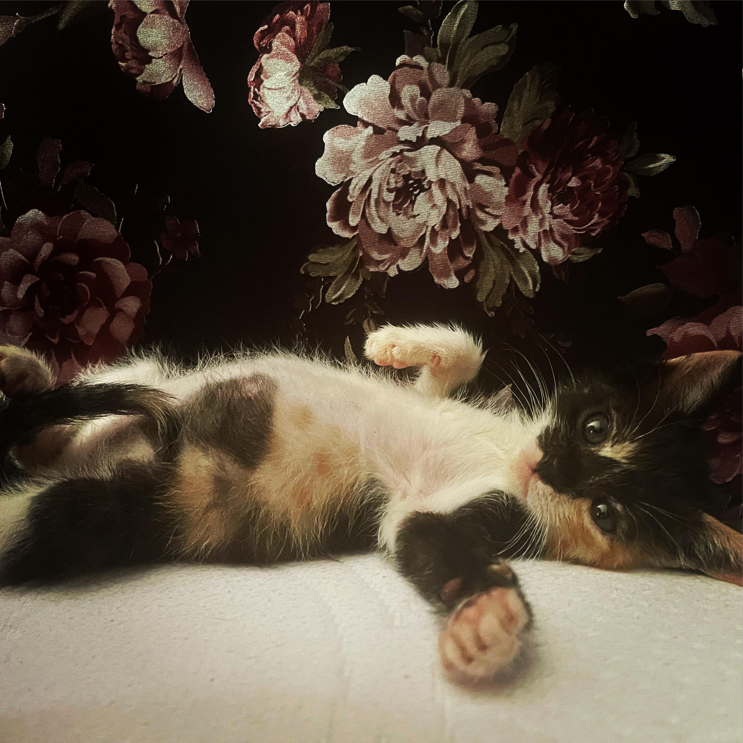 Oh you’ve caught me off guard | Scrolller